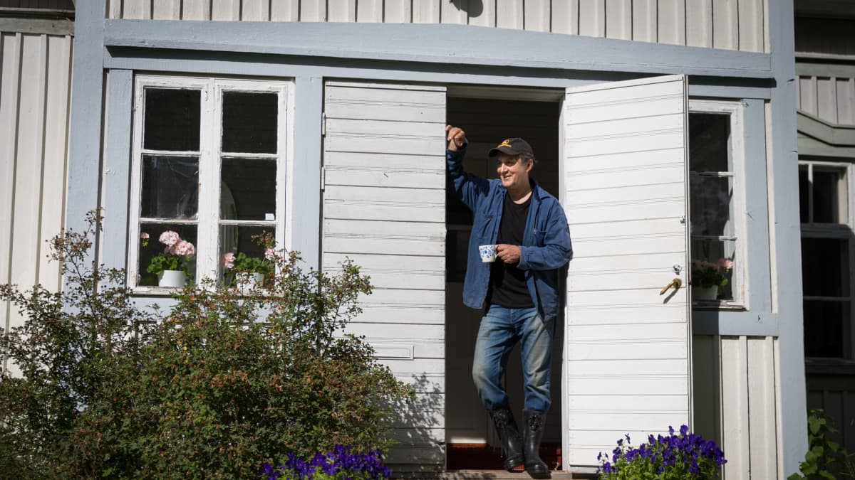 Taiteilija Osmo Rauhala hoitaa satoja lampaita – talvet hän viihtyy New ...