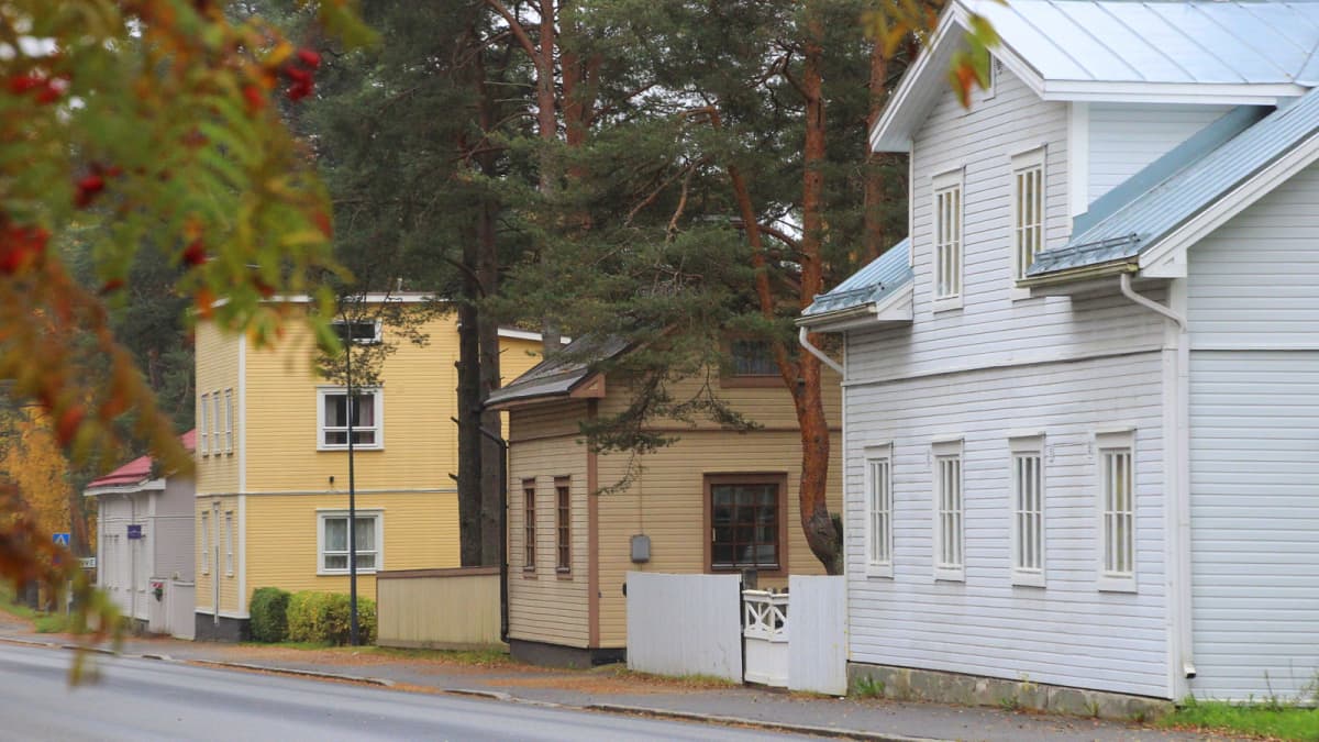 "Ihmisiä kiinnostaa, miten meillä asutaan" – historiallinen Puu-Nurmes ...