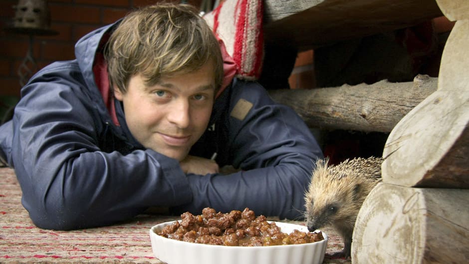 Yle TV1 | TV | Areena | yle.fi